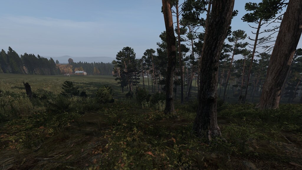 dayz archives, circle of dayz – ZUCICY