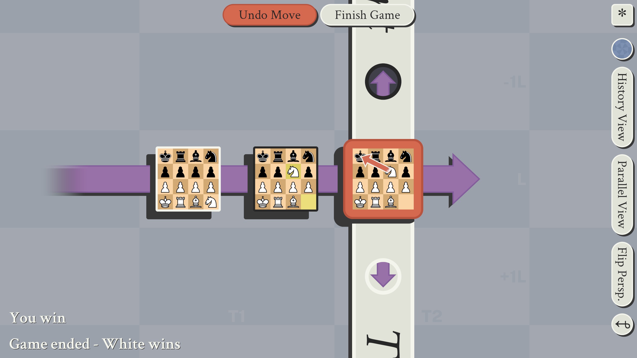 Steam Community :: 5D Chess With Multiverse Time Travel