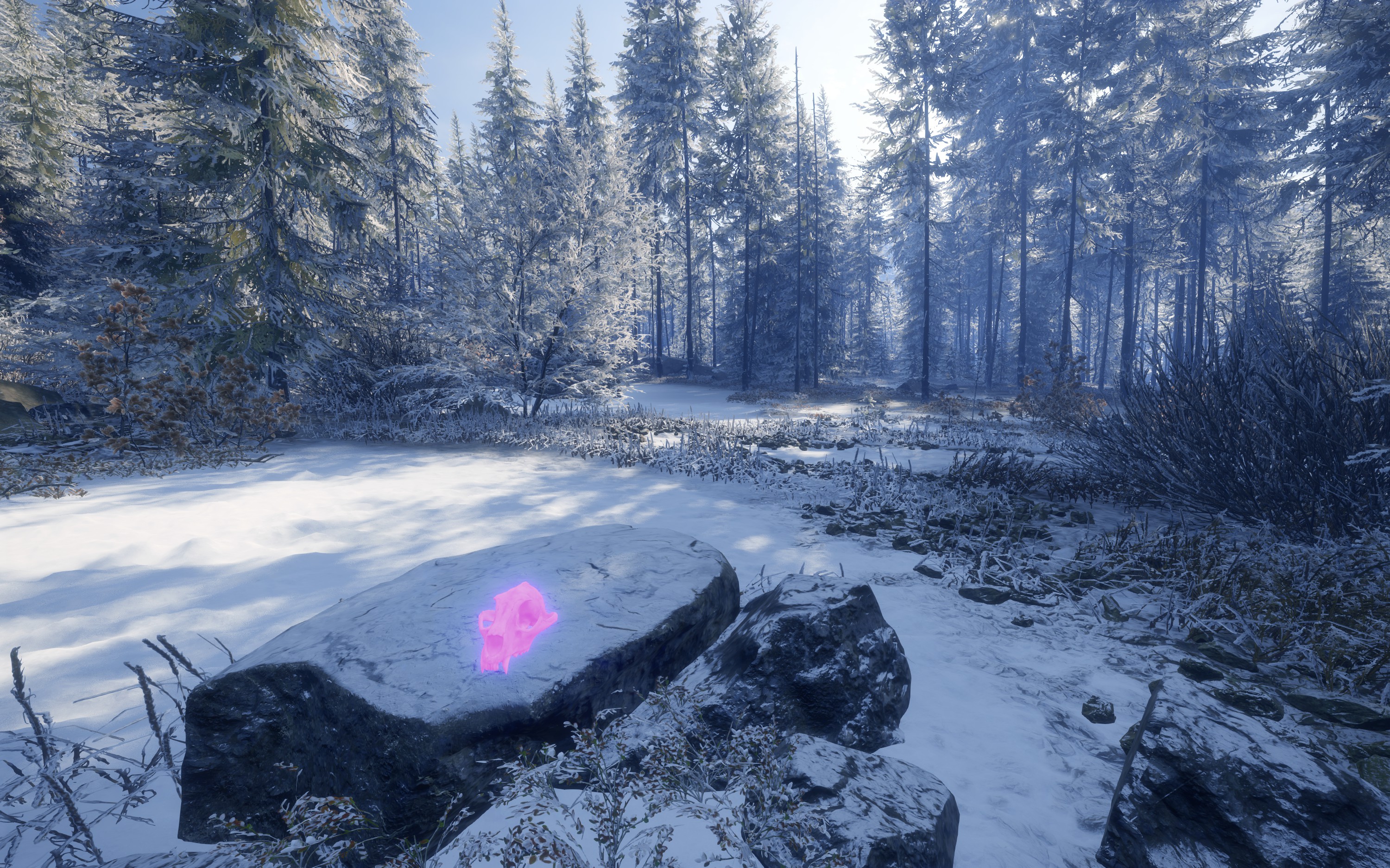 Steam Community :: Guide :: Medved Taiga Collectibles & Document ...