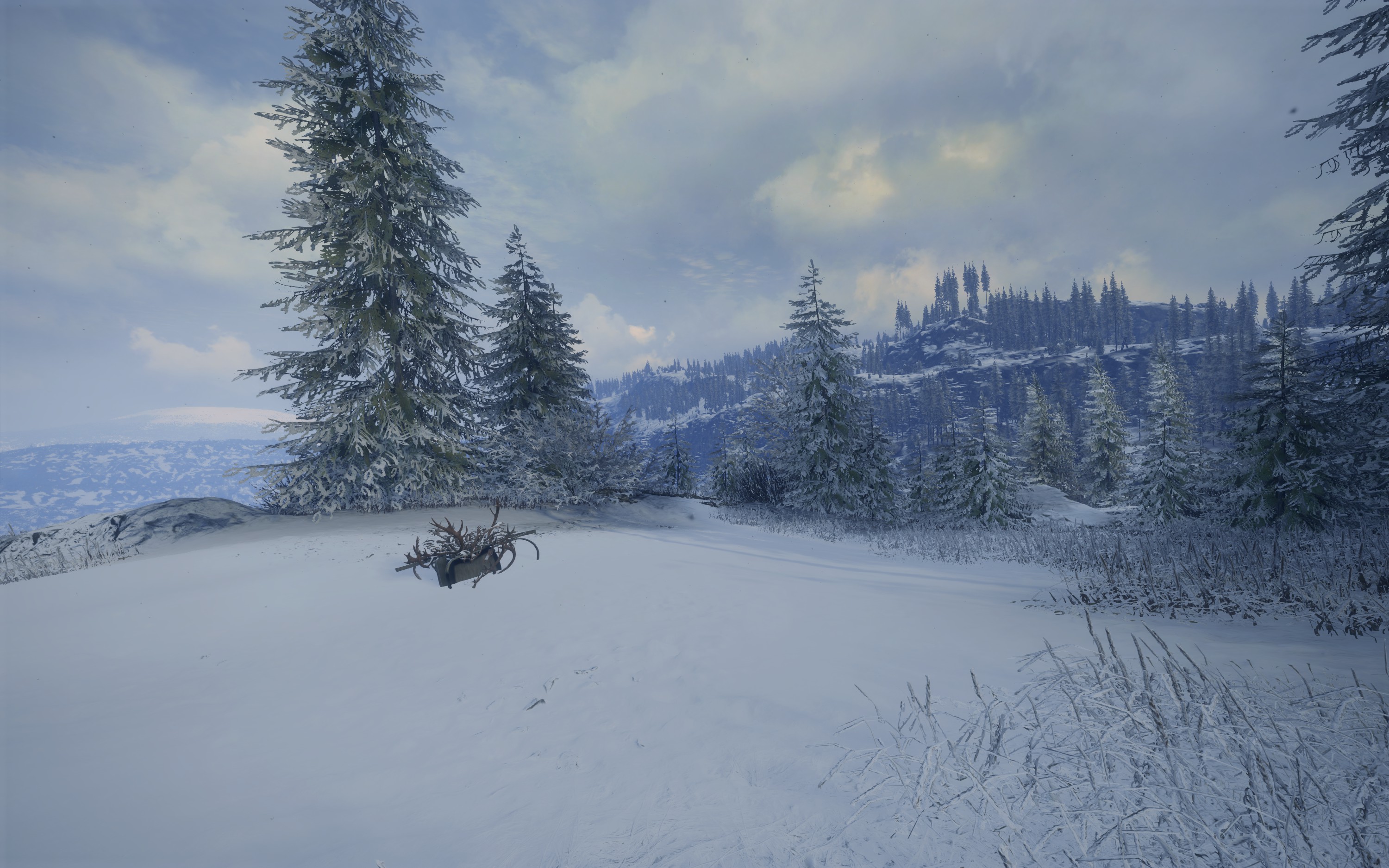 Steam Community :: Guide :: Medved Taiga Collectibles & Document ...