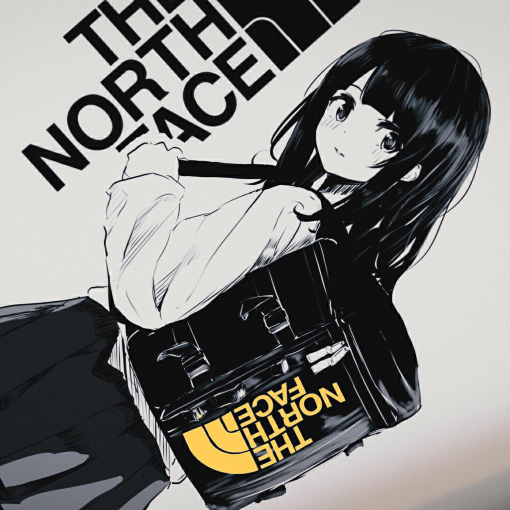 Steam Workshop::THE NORTH FACE