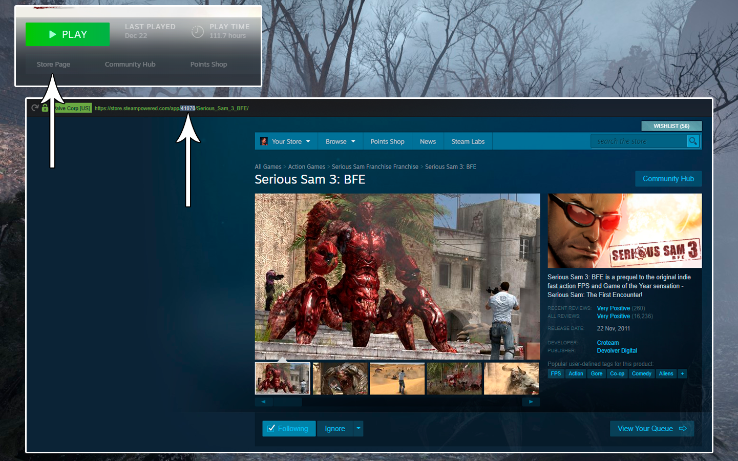 Steam Community :: Guide :: Your edited screenshots in Steam [En/Ru]