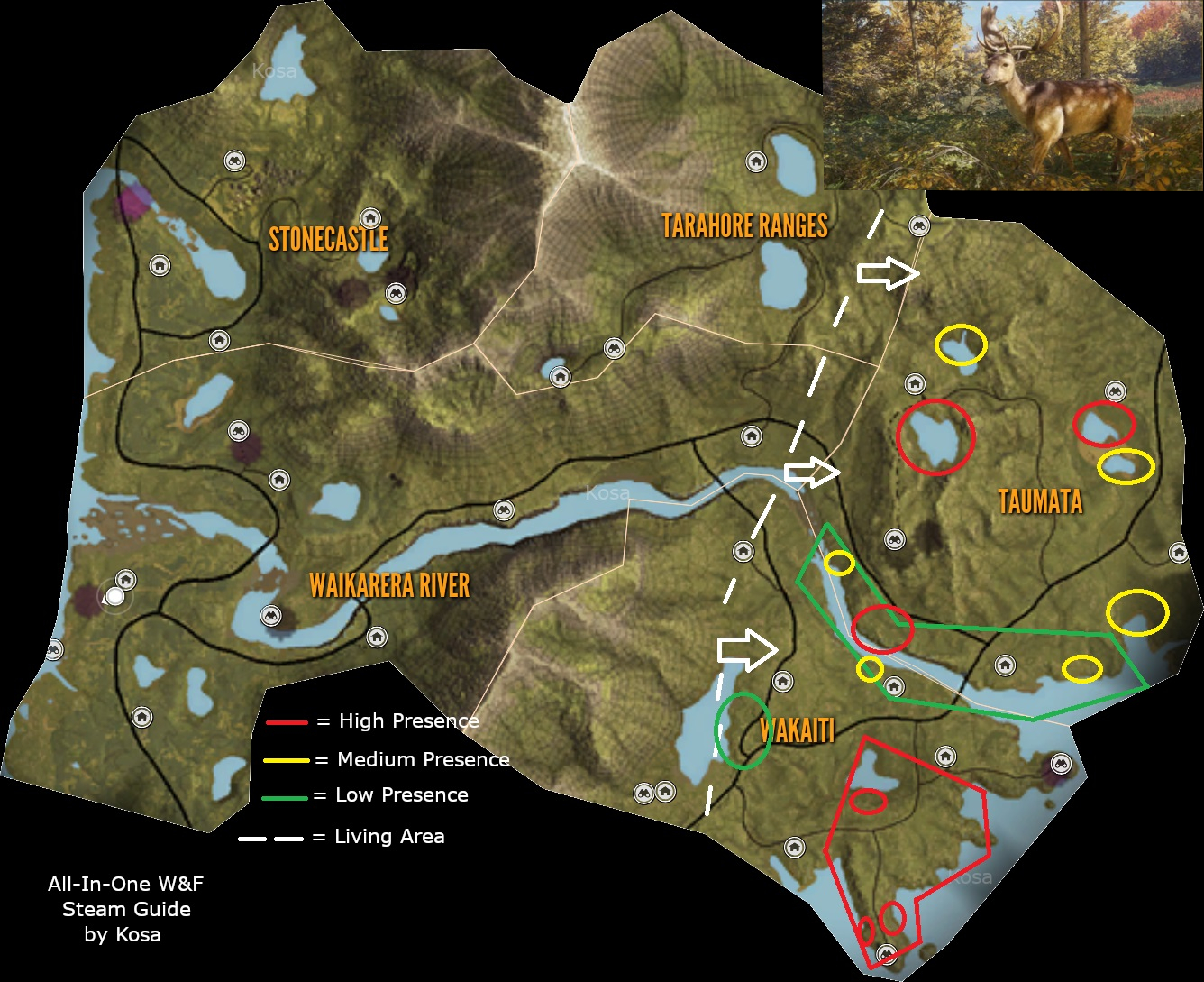 Steam Community :: Guide :: Wszystko-w-Jednym, Odmiany Sierści i ...