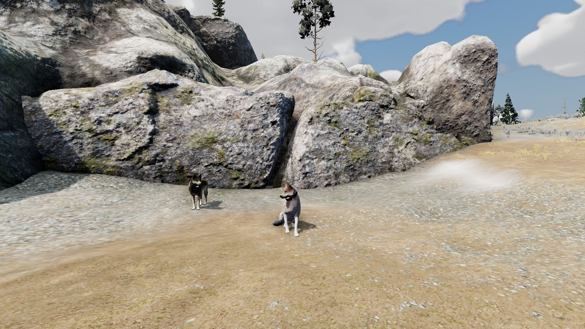 Steam Community :: Guide :: A Field Guide to Slough Creek Dens
