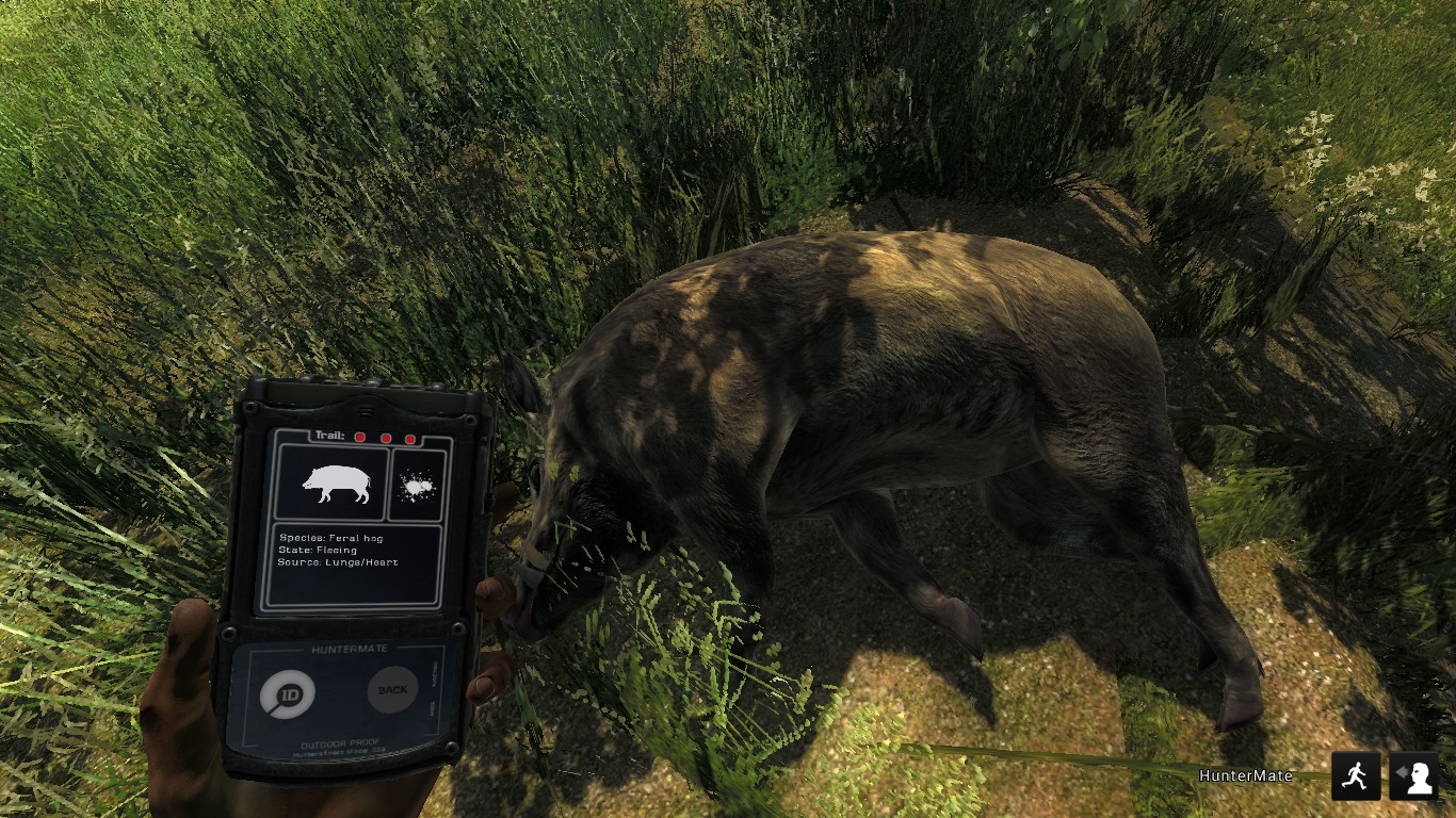 Steam Community :: theHunter Classic