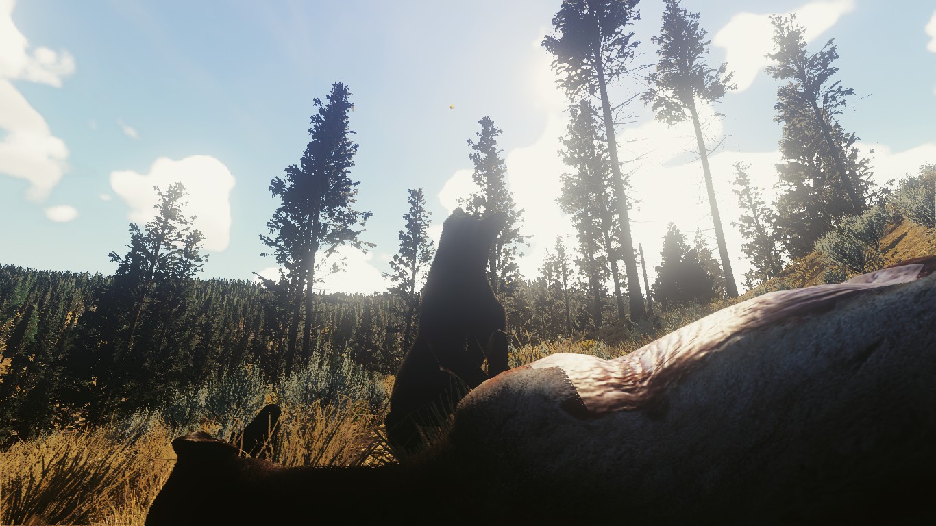Steam Community :: WolfQuest: Anniversary Edition