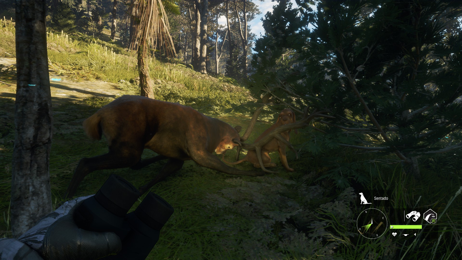 Steam Community :: Guide :: Regions where to find diamond deer.