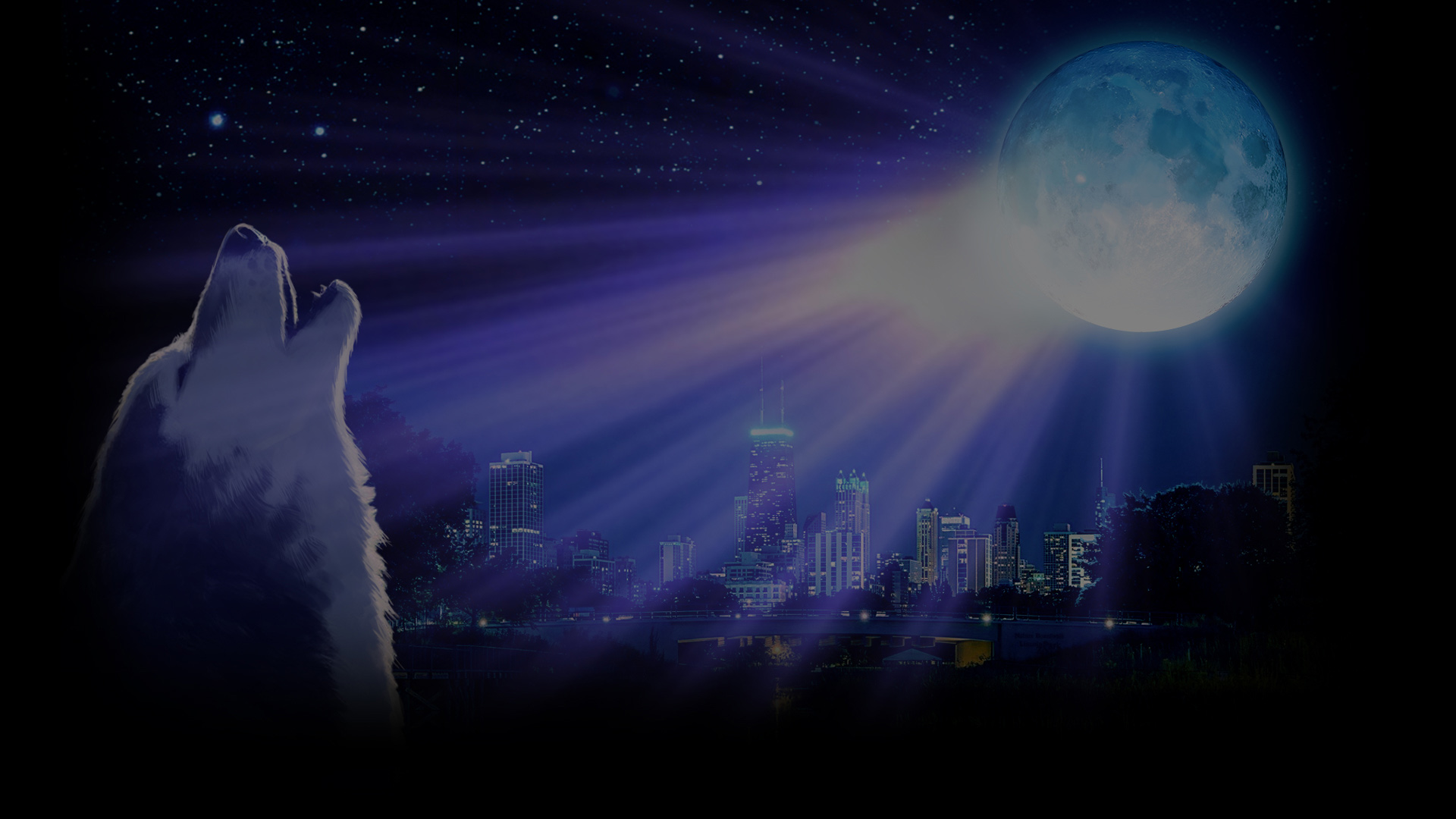 Steam Community :: Guide :: 20 BEST WOLVES STEAM BACKGROUNDS