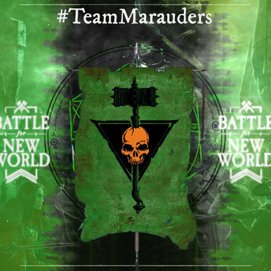 Steam Workshop::New World Team Marauders + Music and animation