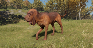 Steam Community :: Guide :: Bloodhound DLC Full Guide