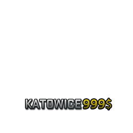 Steam Community :: Guide :: It's Your Favorite Katowice Meme Collection