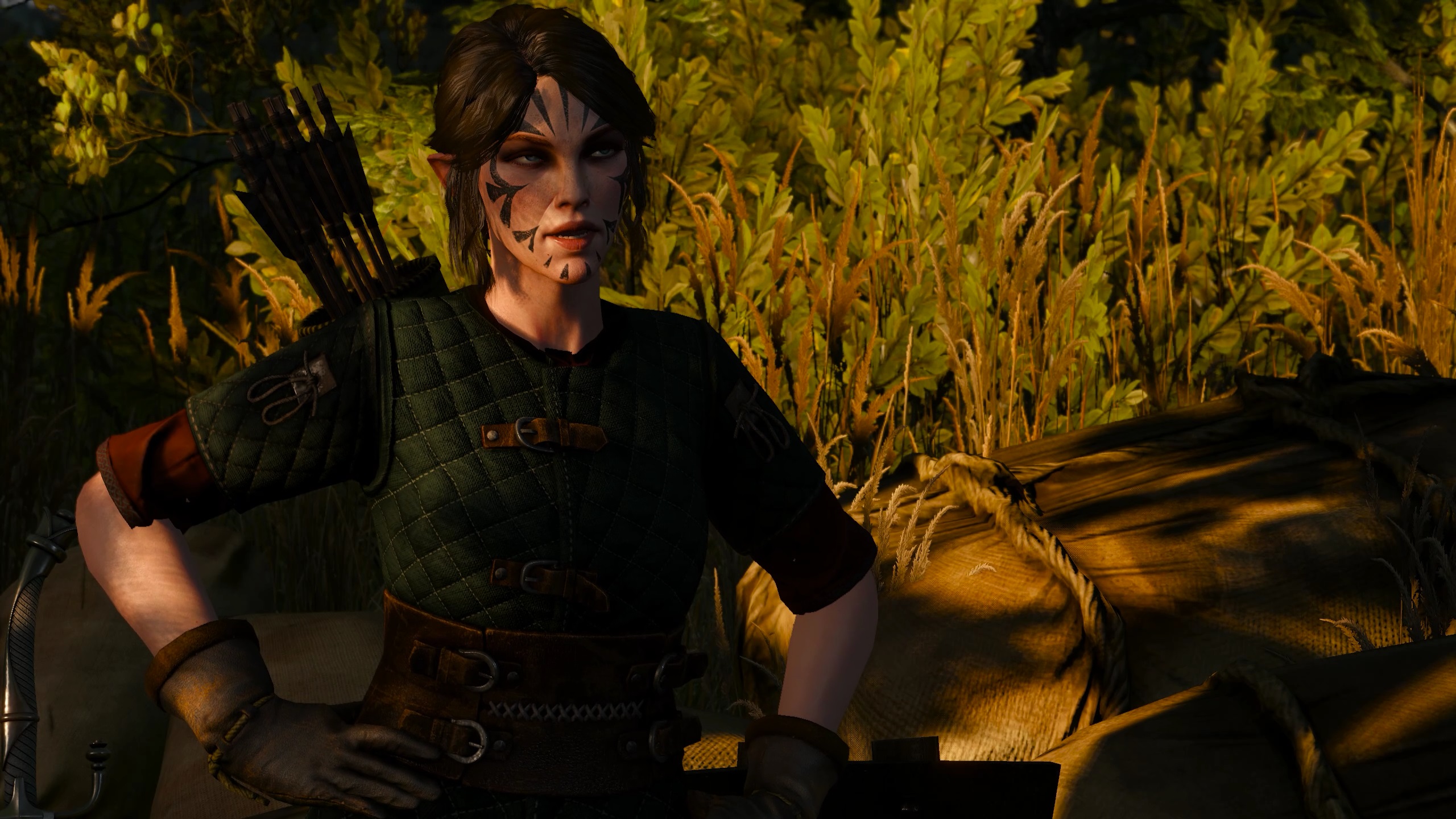 Steam Community :: Guide :: Witcher 3 contract analysis: Woodland beast
