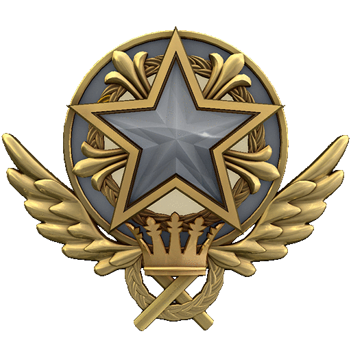 Steam Community :: Guide :: medals & coins showcase