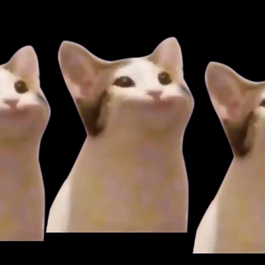 Steam Workshop::Cat Pop Bohemian Rhapsody CatPop Cat TikTok
