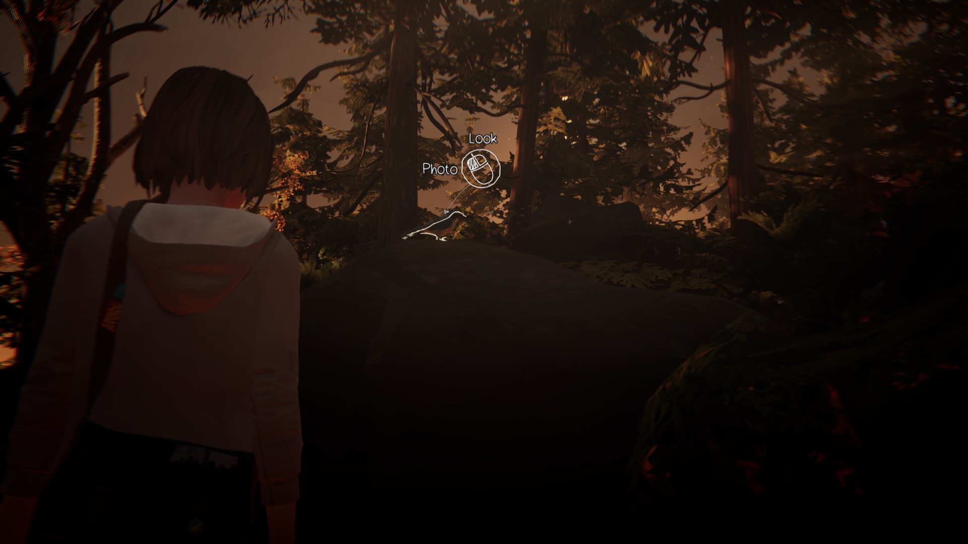 Steam Community :: Guide :: Life is Strange Remastered: 100% ...