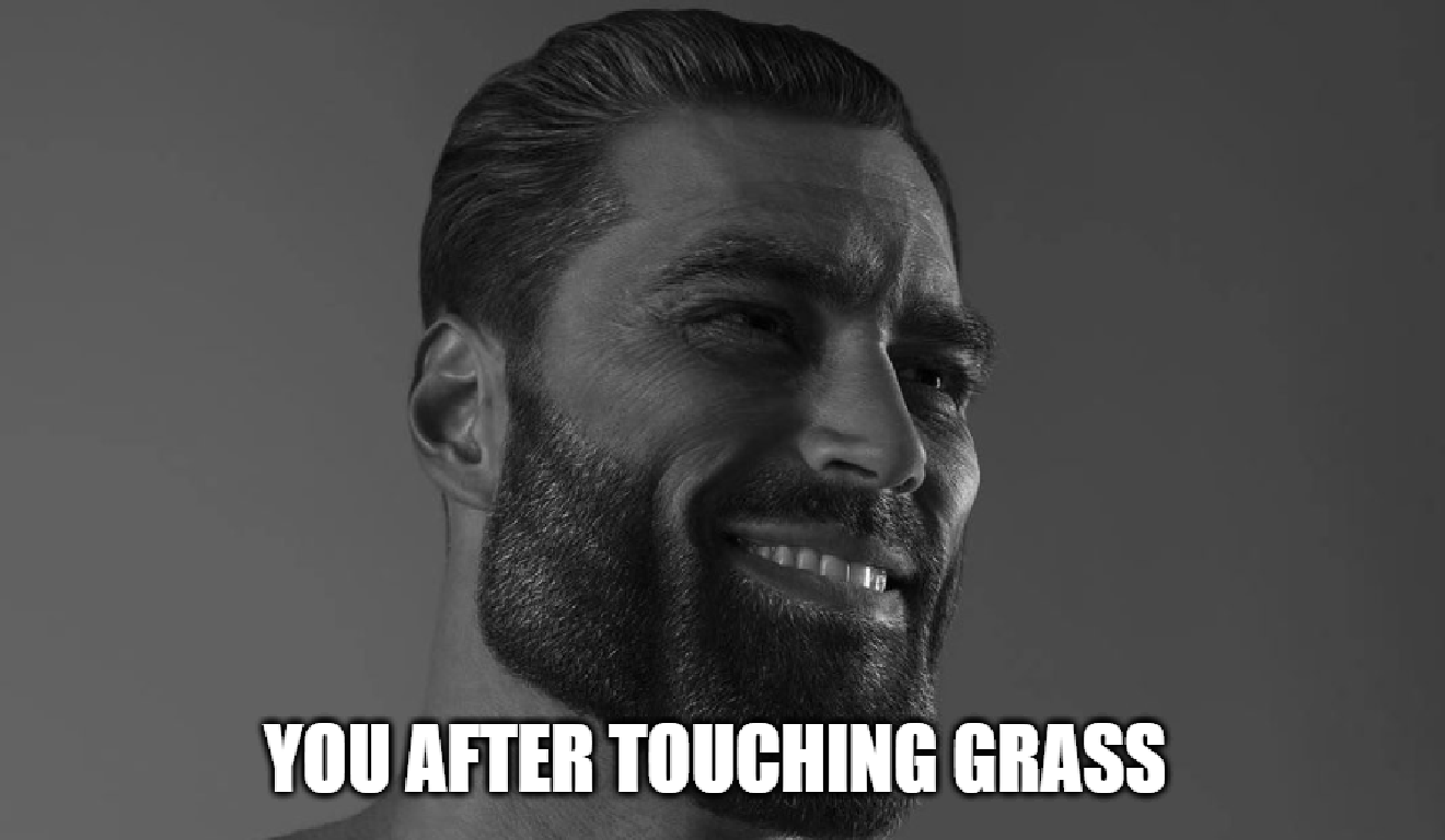 Steam Community :: Guide :: How to touch grass(in depth guide)