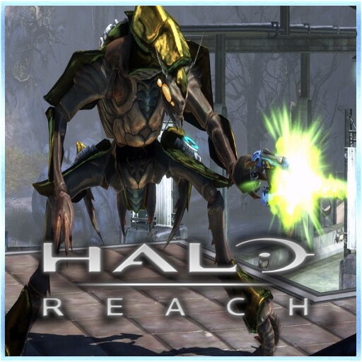 Halo reach drones store