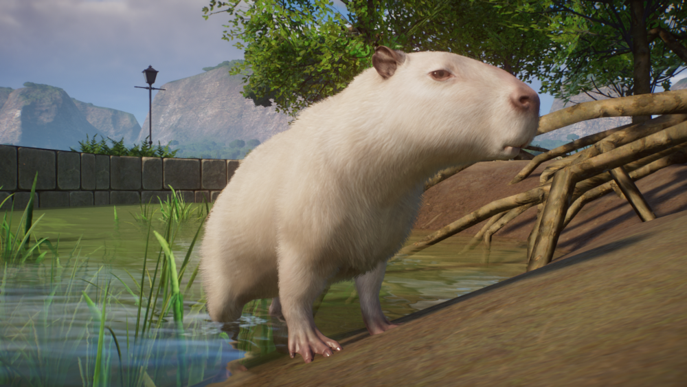 Albino Capybara
