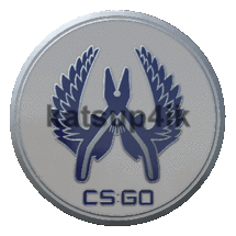 Steam Community :: Guide :: Counter-Strike: Global Offensive [Coins ...