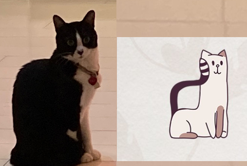 Steam Community :: Cats Organized Neatly