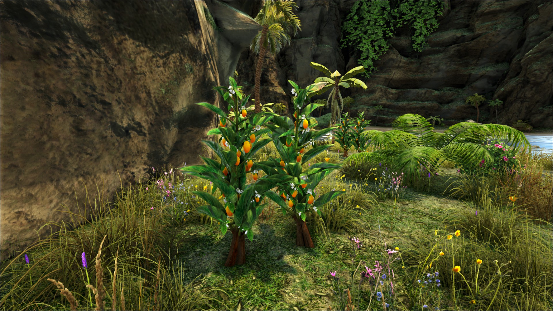 Steam Community :: Guide :: The Center: REBORN - Redux - Field Guide