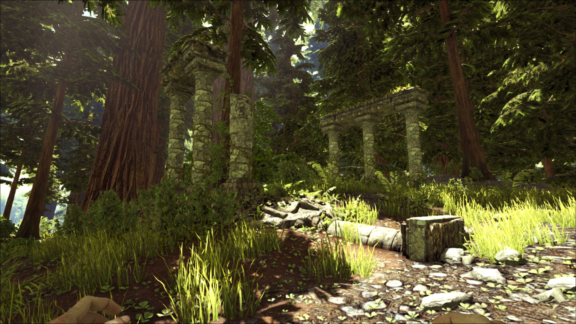 Steam Community :: Guide :: All explorer Notes on the Island