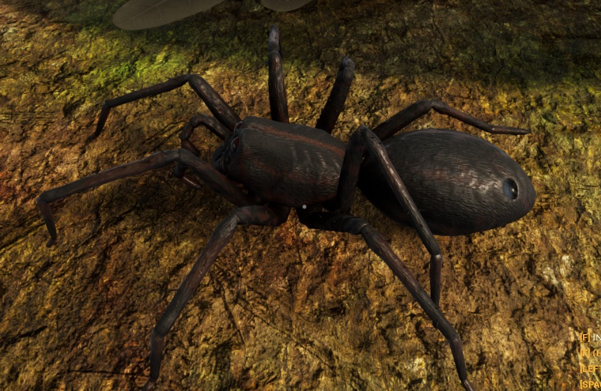 Steam Community :: Guide :: Mounts, Their Colors, and How to Get Them!