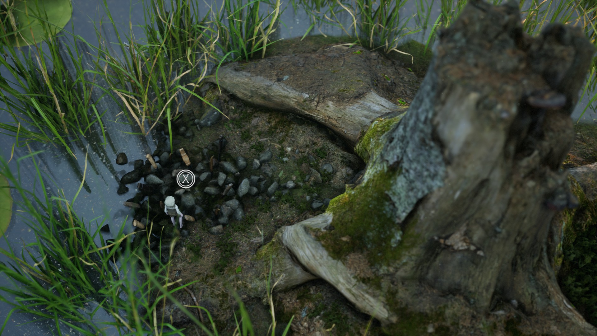 Steam Community :: Guide :: "Collector" Achievement | Finding All ...