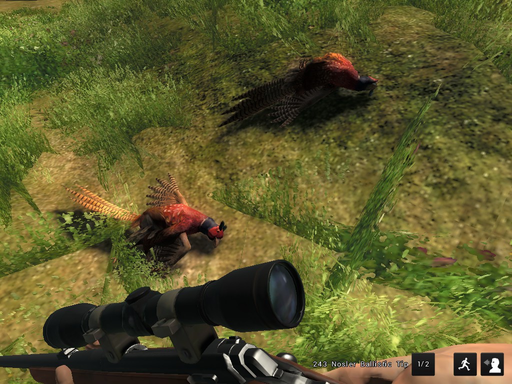Steam Community :: theHunter Classic
