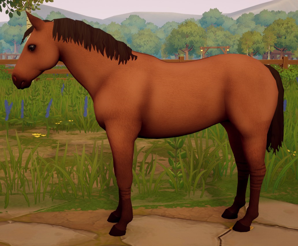 Steam Community :: Guide :: Horse Colours [DAPPLE UPDATE]
