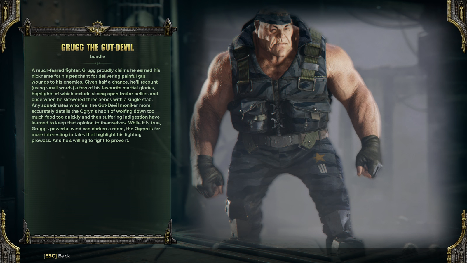 Steam Community :: Guide :: [WIP] Premium Item Descriptions