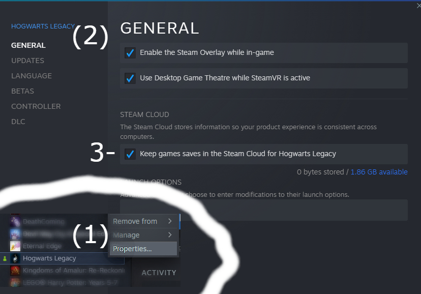 Steam Community :: Guide :: How to backup/restore your SAVE FILES *DO ...