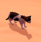 Steam Community :: Guide :: How to grow a kitten into a cat