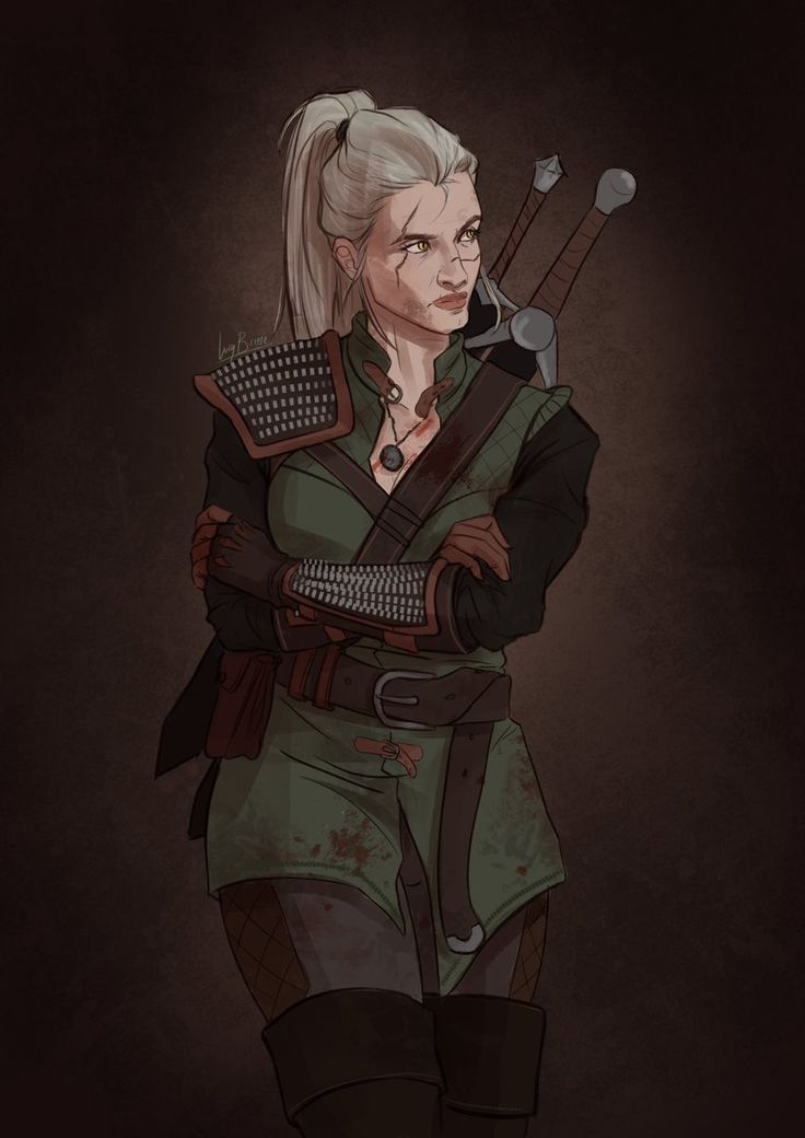 Steam Community :: The Witcher 2: Assassins of Kings Enhanced Edition