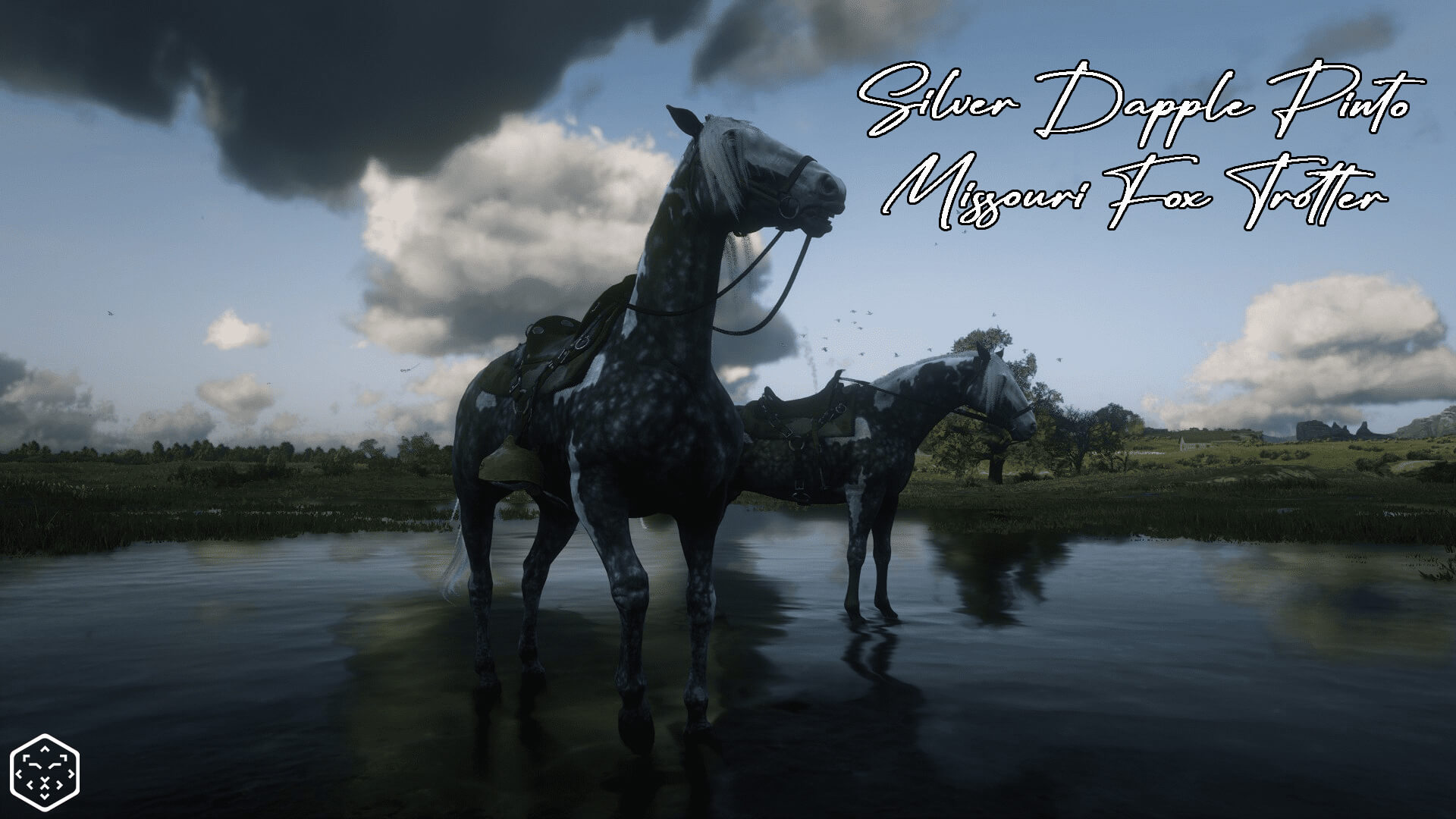 Steam Community :: Guide :: Red Dead Redemption 2 All In One