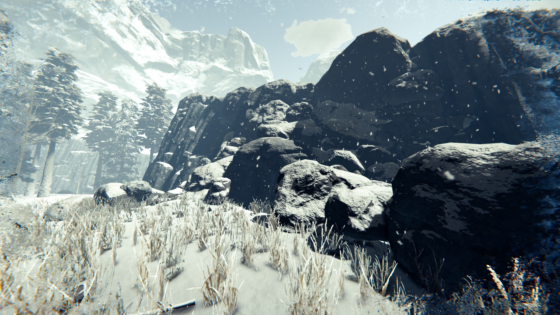Steam Community :: Guide :: Findings In The Forest