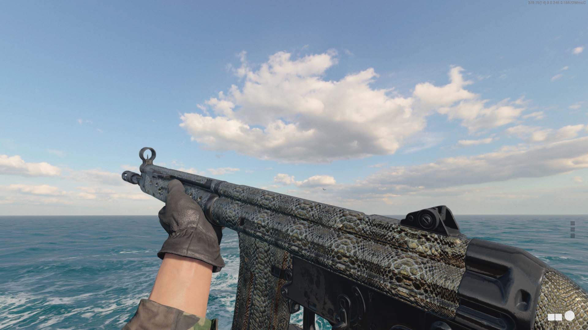 Steam Community :: Guide :: Master camo for assault rifles