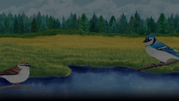Steam Community :: Guide :: Green Animated Backgrounds