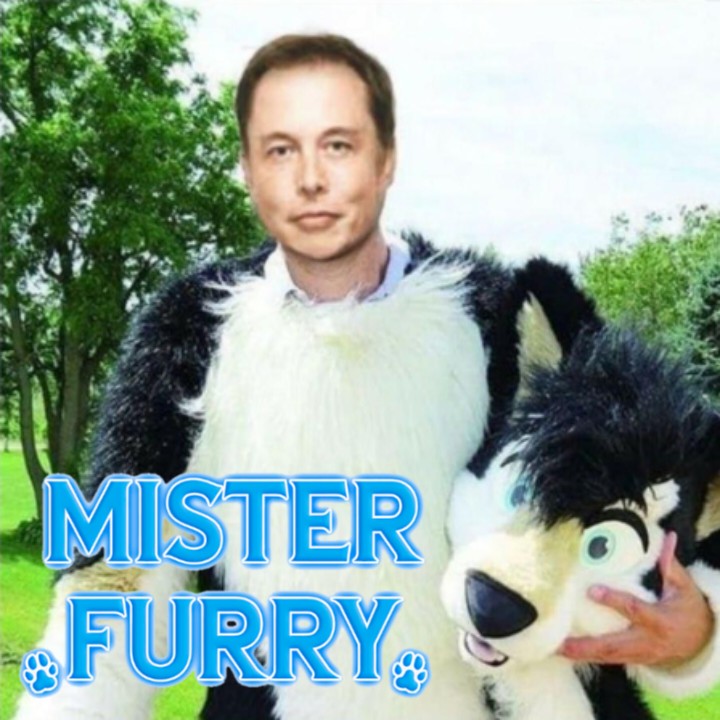 Steam Community :: Mister Furry