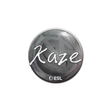 Steam Community :: Guide :: CS2 Best Stickers for Letters