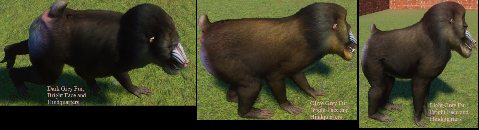 Steam Community :: Guide :: Planet Zoo: Colourmorph, image list.