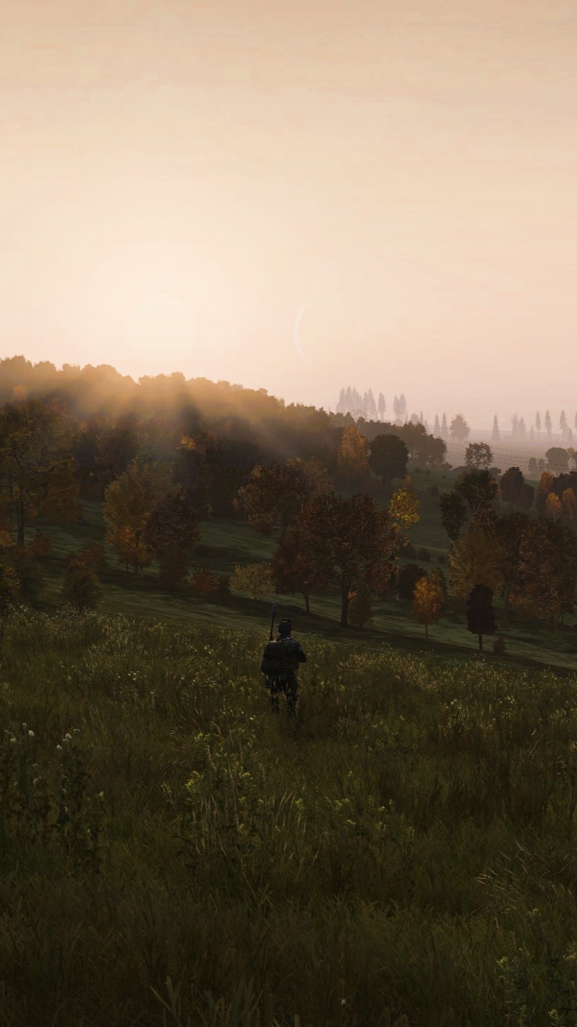 Steam Community :: DayZ