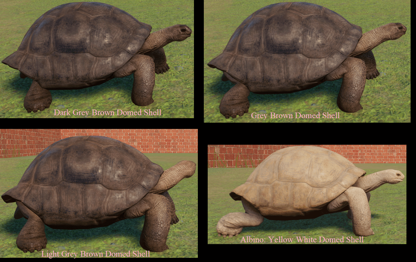 Steam Community :: Guide :: Planet Zoo: Colourmorph, image list.