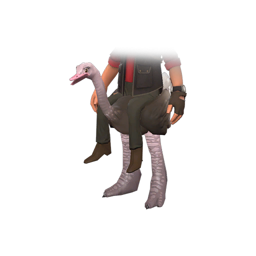 Steam Community :: Guide :: List of TF2 Bird-Themed/Related Items
