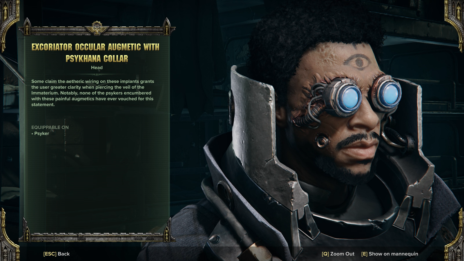 Steam Community :: Guide :: [WIP] Premium Item Descriptions