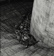 Steam Community :: Guide :: All monsters and items in Content Warning Guide