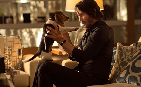 Steam Community :: Guide :: John Wick Build