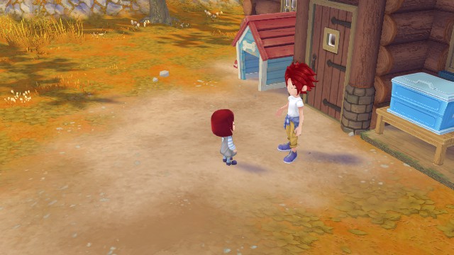 Steam Community :: STORY OF SEASONS: A Wonderful Life