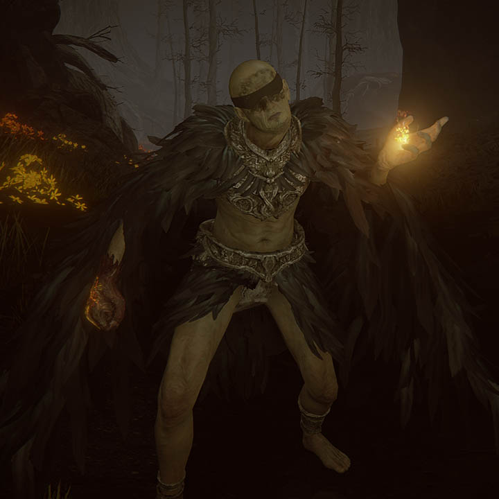 Steam Community :: Guide :: Face data of all NPCs in the Elden Ring (DLC)