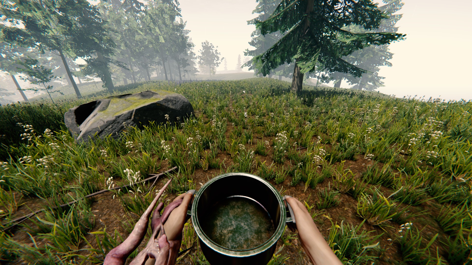 Steam Community :: Guide :: Findings In The Forest